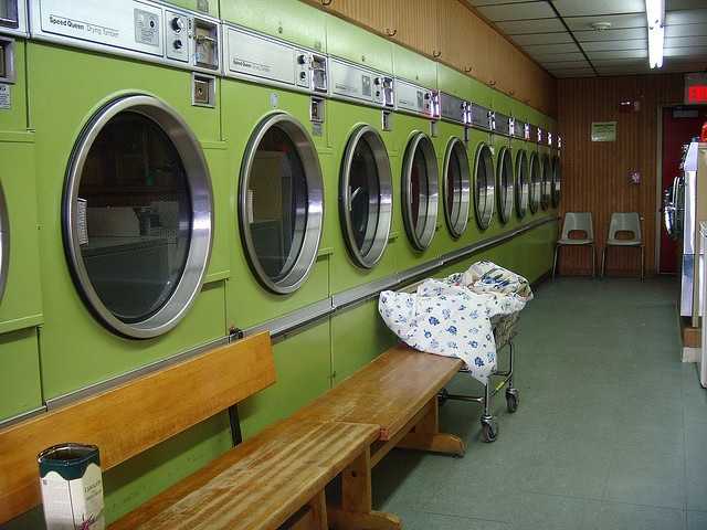 What's the Difference between Biological and Non Biological Washing ...