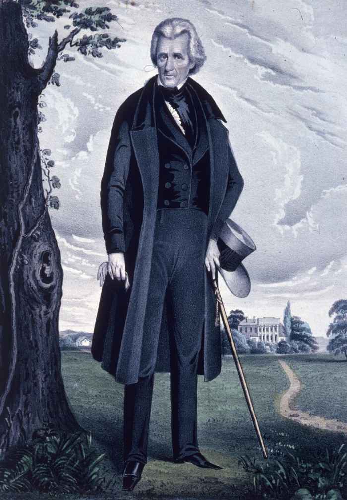 Biography of Andrew Jackson - Owlcation