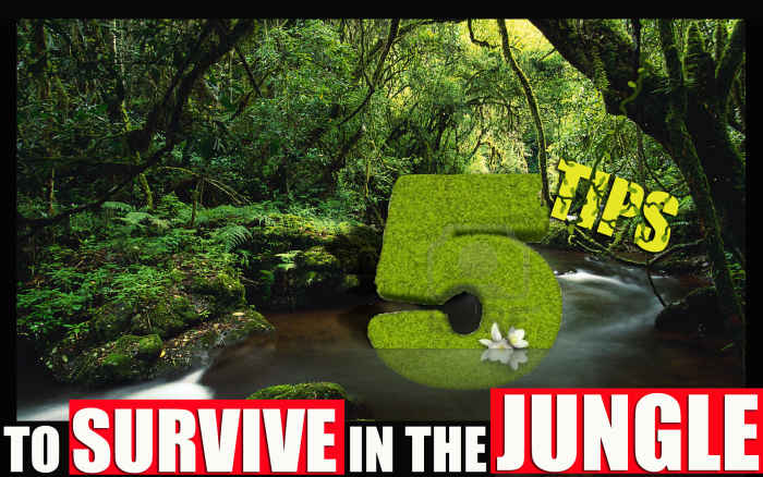 5 Tips on how To Survive in the Jungle - HubPages