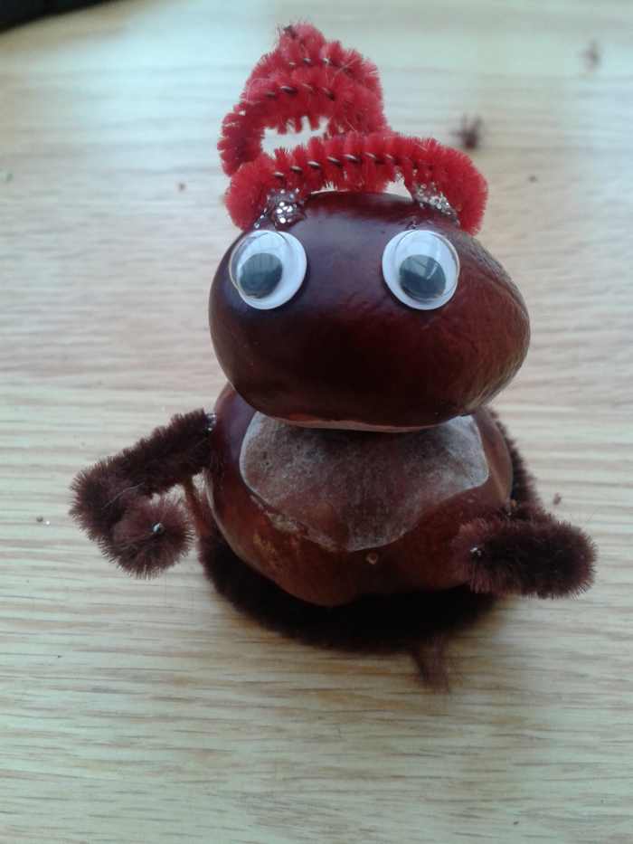 20 Things to do With Conkers - Fun Activities for Kids - HubPages
