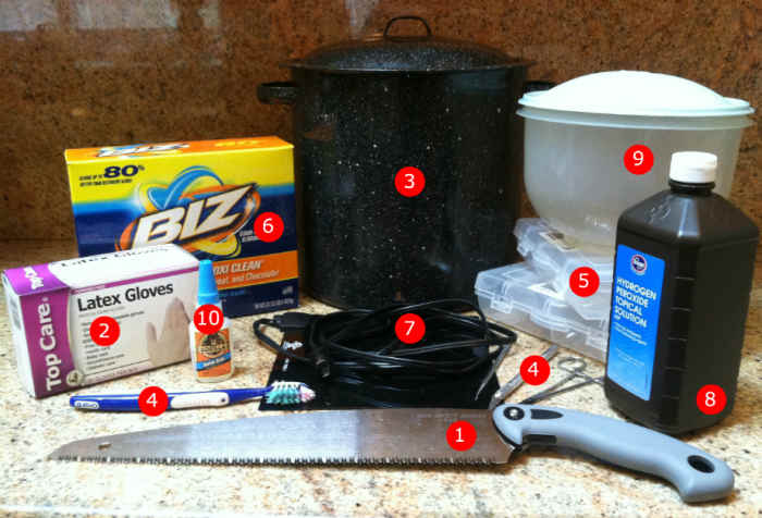 How To Clean A Skull - HubPages