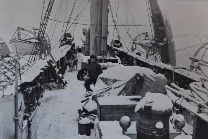 Tom Crean – Ireland's Great Antarctic Explorer - HubPages