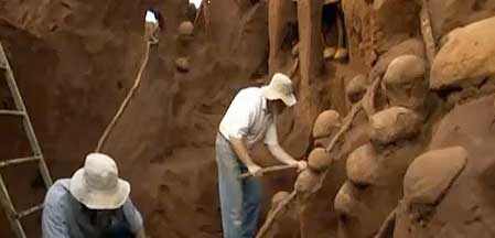 The world's Largest Ant Colony (Amazing Video) - HubPages
