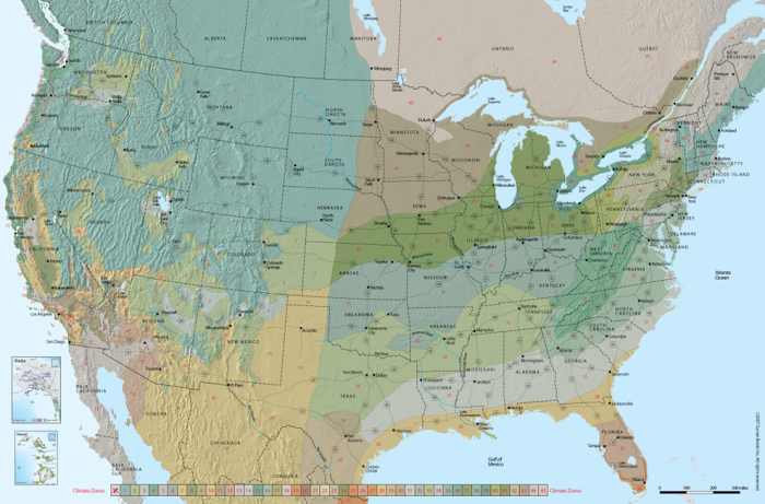 Usda Zone 5 Gardening - HubPages