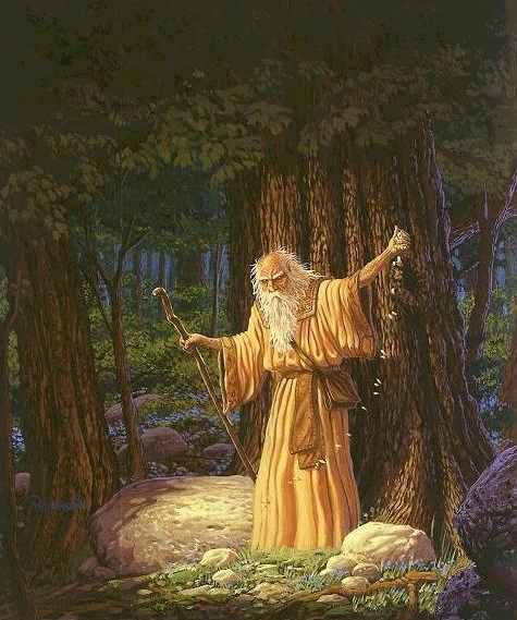 Celtic Druids - HubPages