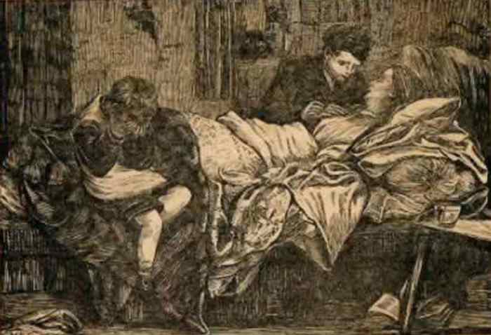 Victorian Healthcare and Medicine: An Emerging Science in the 19th ...