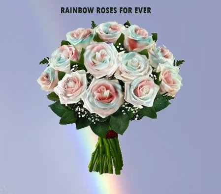 How to make Rainbow Roses: a Step by Step Guide - HubPages