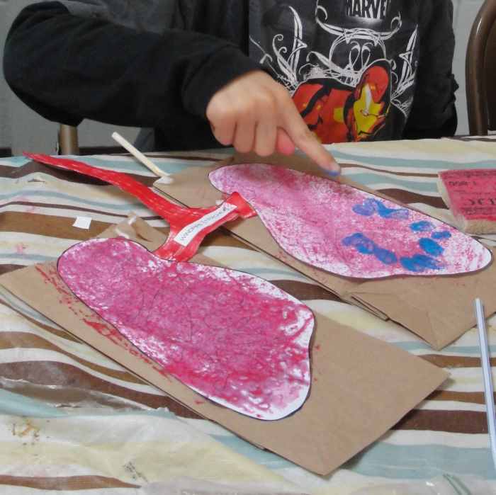 Respiratory System Lesson - HubPages