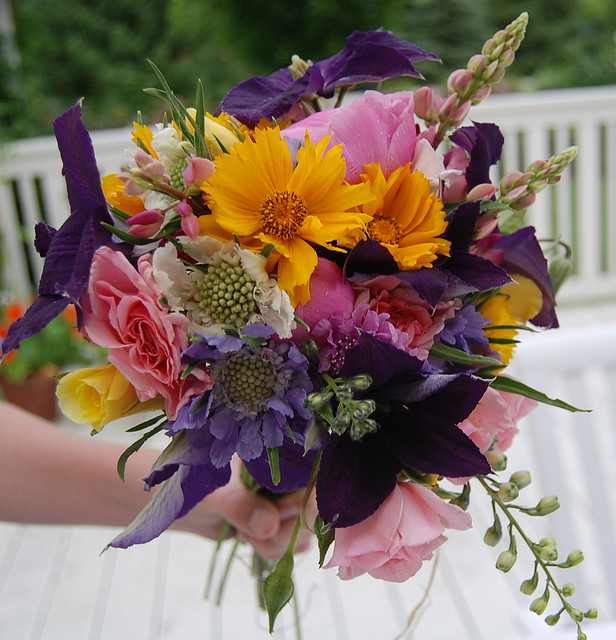 How to Keep Cut Flowers Fresh Last Longer and Homemade Recipe for Cut ...