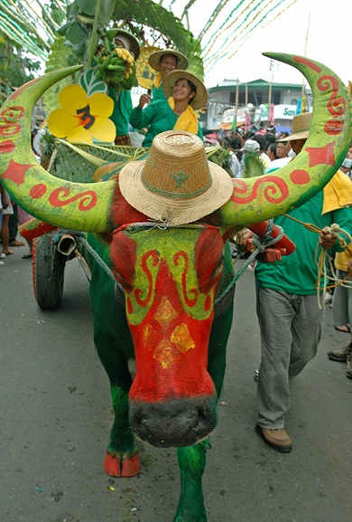 The Carabao: From the Beast of Burden in Fields to the Beauteous Beast ...