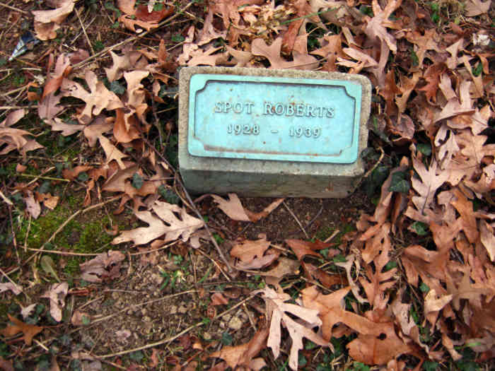 Pet Cemetery - A Real Life Tale of a Neglected Animal Graveyard - HubPages