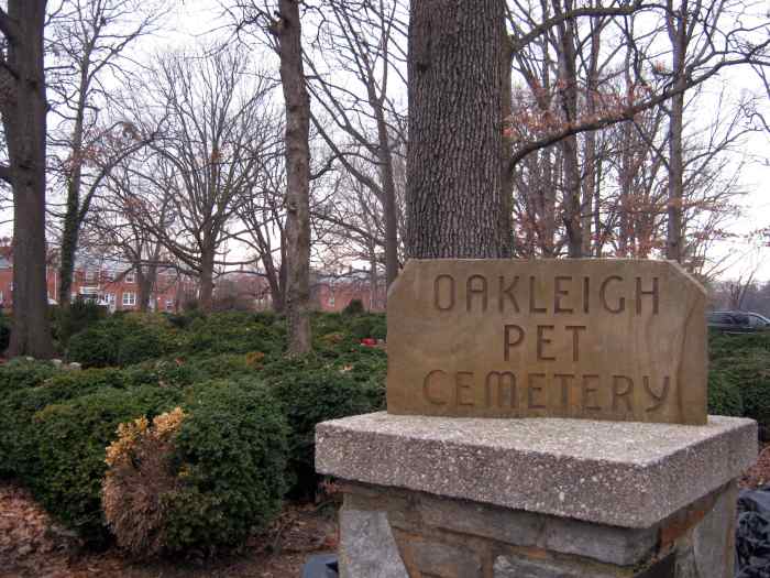 Pet Cemetery - A Real Life Tale of a Neglected Animal Graveyard - HubPages