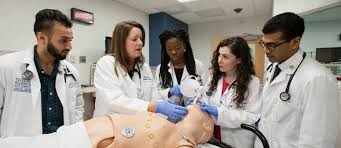 Training and Development in Health Care *grammar Update* - HubPages