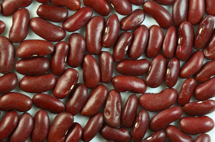 Nutritional And Health Benefits of Kidney Beans (Rajma) - HubPages