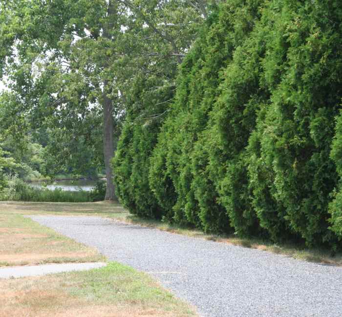 5 Things to See in Connecticut Woodlands - HubPages