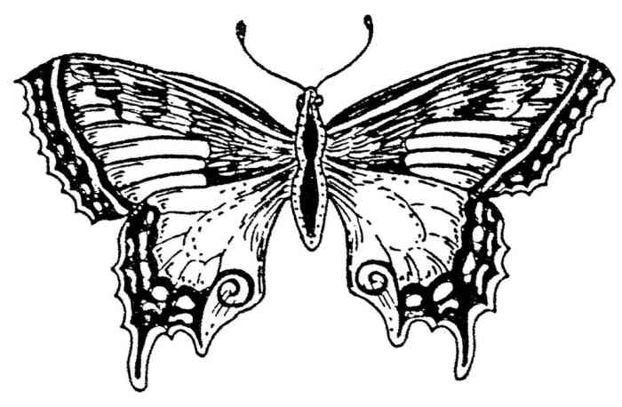 Stamping Tips and Ideas - HubPages