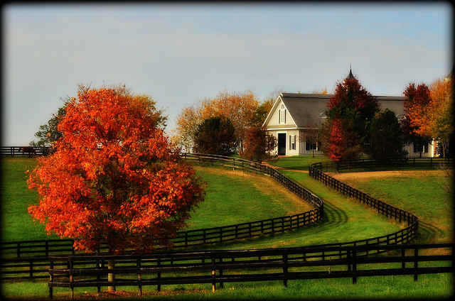 Things to Do in the Lexington, KY Area in the Fall - HubPages