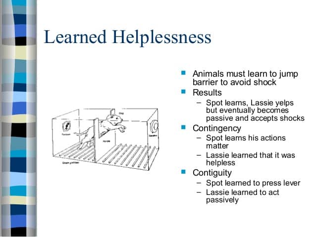 The Impact of Learned Helplessness on Grades in the College Student ...