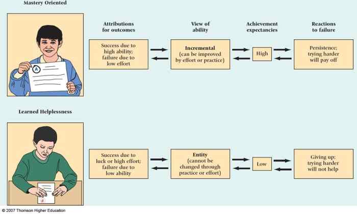 The Impact of Learned Helplessness on Grades in the College Student ...