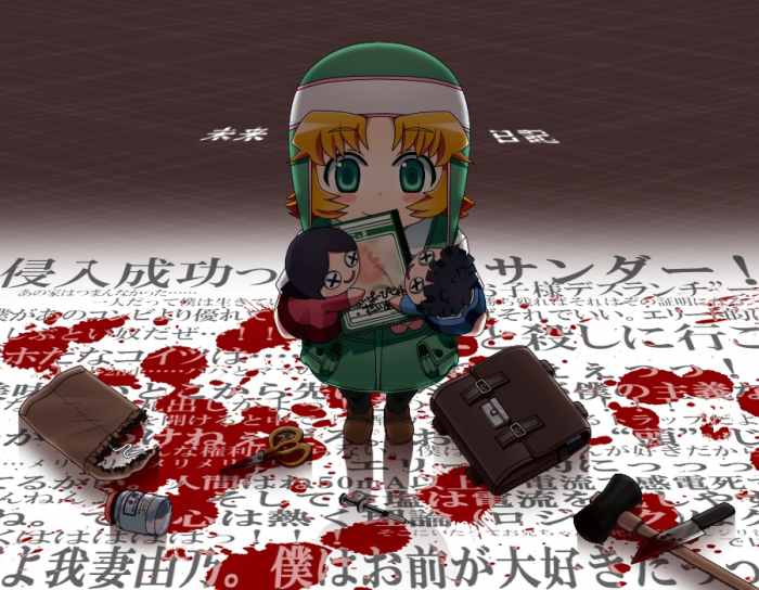 Top 12 Diaries in "Future Diary" - HubPages