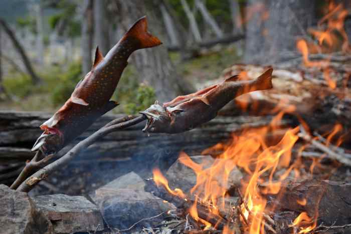 How To Catch, Clean and Cook a Fish While Camping Out - HubPages