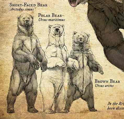 Top Ten Prehistoric Animals and Their Modern Counterparts - HubPages