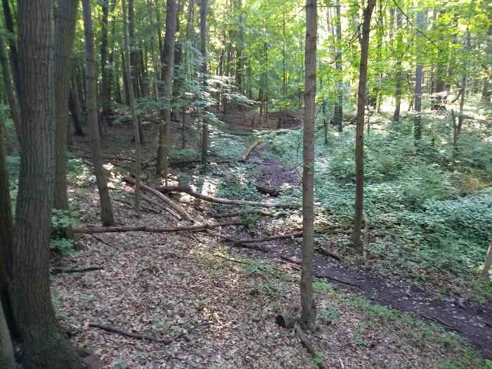 Fallen Timbers Battlefield and Fort Miamis Park Highlights - HubPages