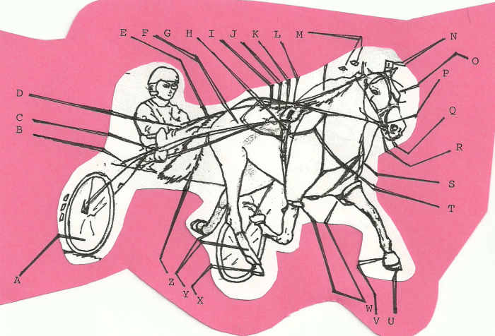 Equipment of the Standardbred Harness Racing Horse - HubPages