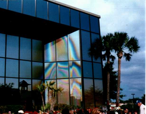 Virgin Mary Apparition In Clearwater Florida - HubPages