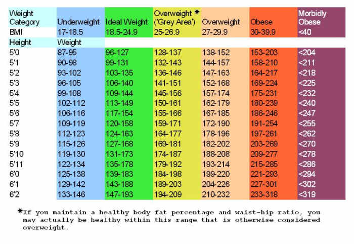 What should I weigh? Smart Weight Management - HubPages