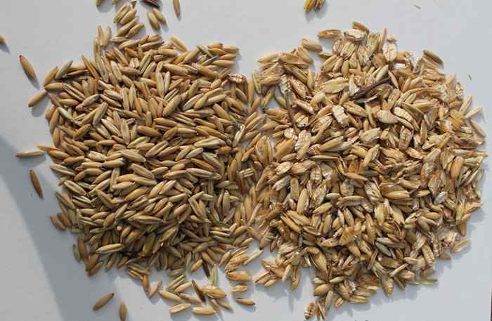 Horse | Equine | Oat Roller | Oat Crimper | Rolled Oat Maker - HubPages