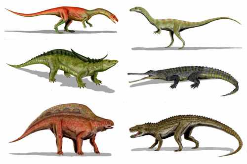 The Poposaurus, The Strange Dinosaur-like Creature of The Triassic ...