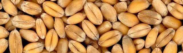 The Complete Dry Canning Food Storage Guide - HubPages