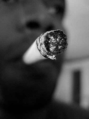 Smoking Sherm, Fry, Illy or Dank - Are You Smoking Embalming Fluid ...