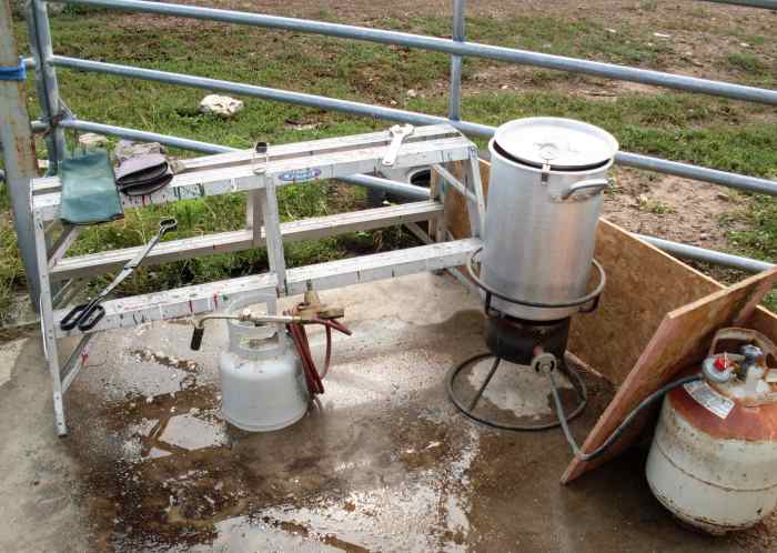 How to Butcher a Chicken, Part 1: Preparing Your Work Space; Killing ...