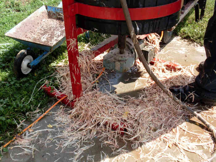 How to Butcher a Chicken, Part 1: Preparing Your Work Space; Killing ...