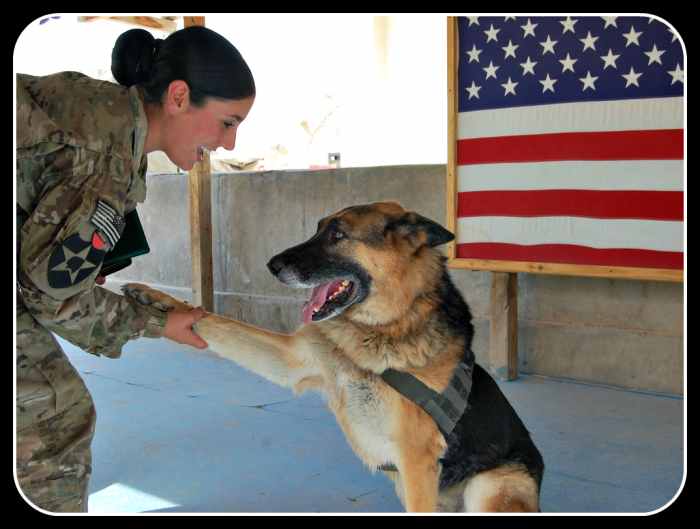 The Dangers of Disrespect and Overcoming Its Consequences - HubPages