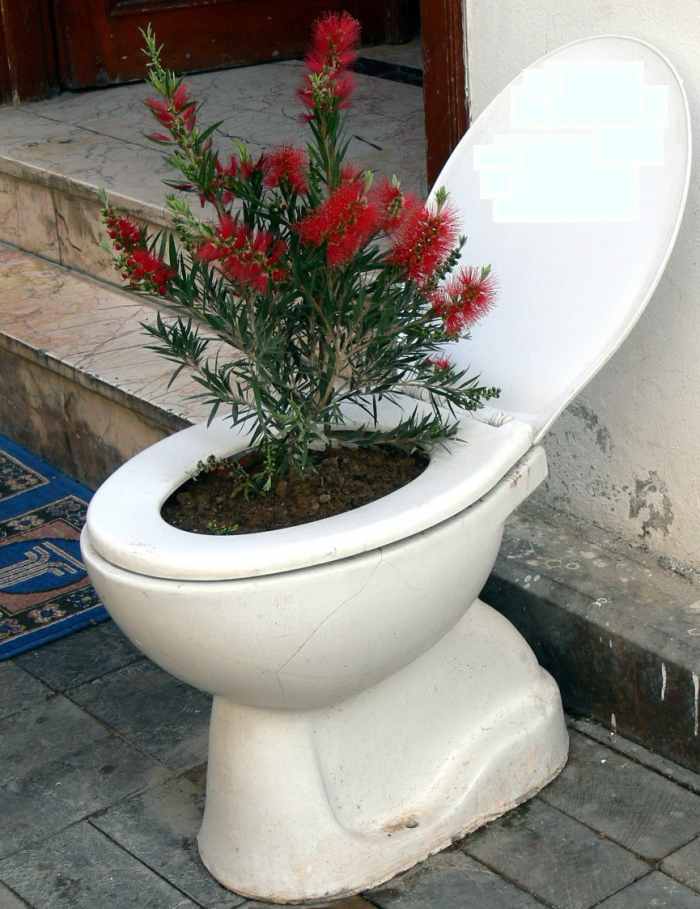 How to Plan a Redneck Party - HubPages