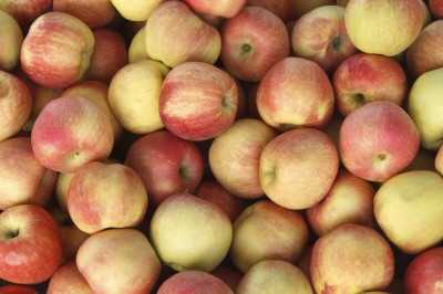 20 Apple Recipes--What to Do With So Many Apples? - HubPages
