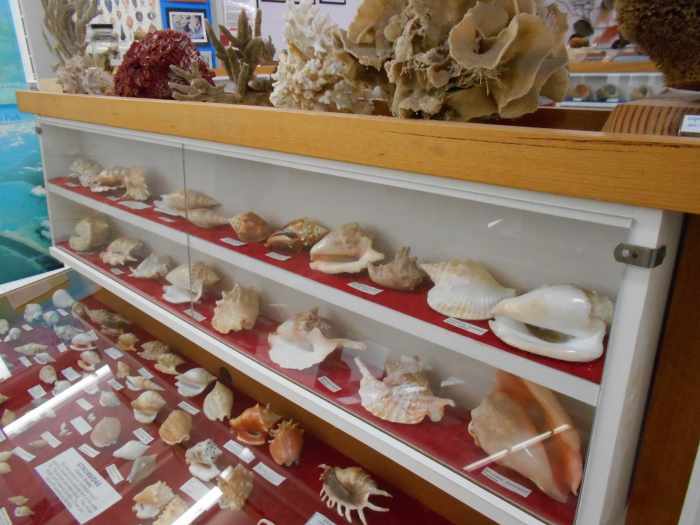 Leisure Things to Do in Inverloch, Victoria - HubPages