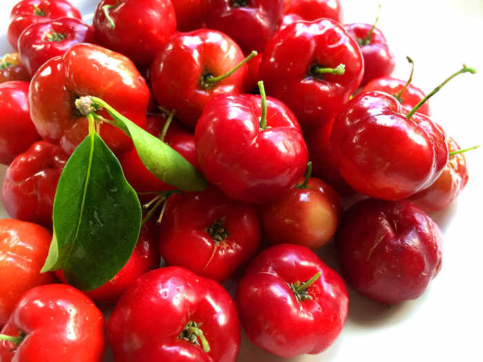 Tropical Taste of Hawaii: The Awesome Acerola Cherry - HubPages