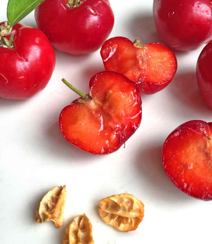 Tropical Taste of Hawaii: The Awesome Acerola Cherry - HubPages
