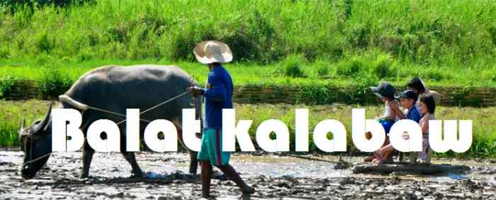 Filipino Idioms - 30 Examples of Commonly Used Tagalog Idiomatic ...