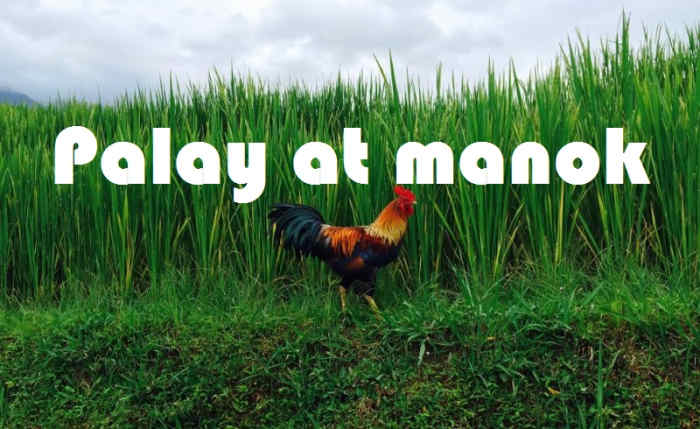 Filipino Idioms: 30 Examples of Tagalog Idiomatic Expressions - HubPages