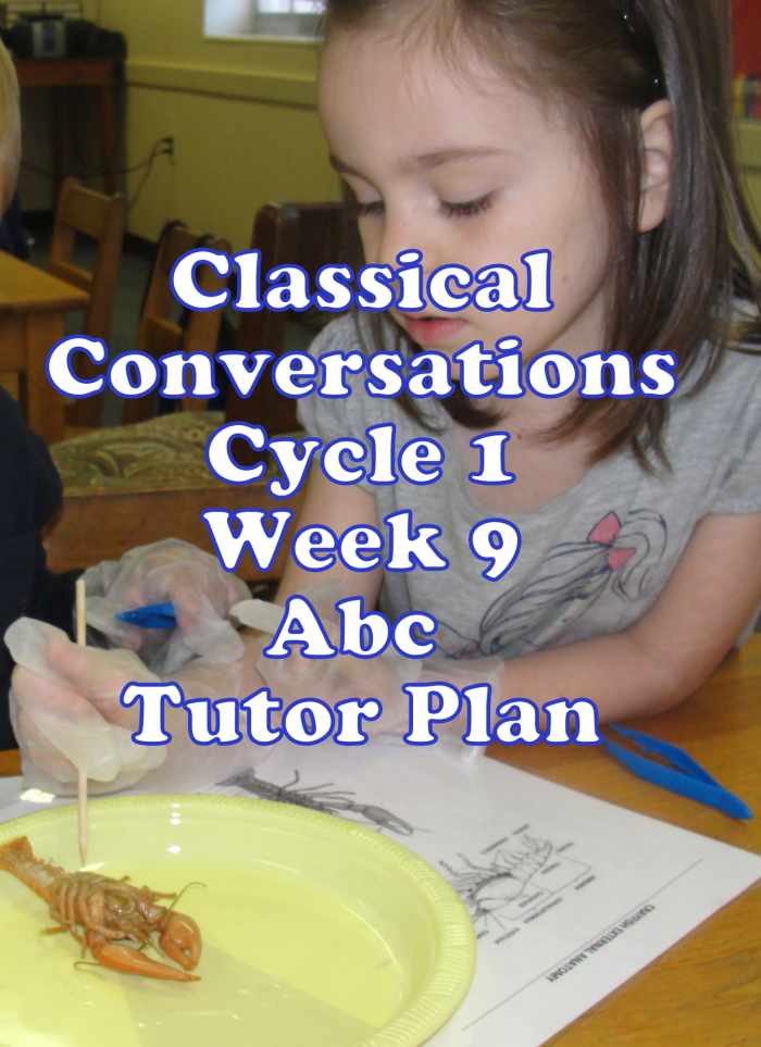 CC Cycle 1 Week 9 Plan for Abecedarian Tutors - HubPages