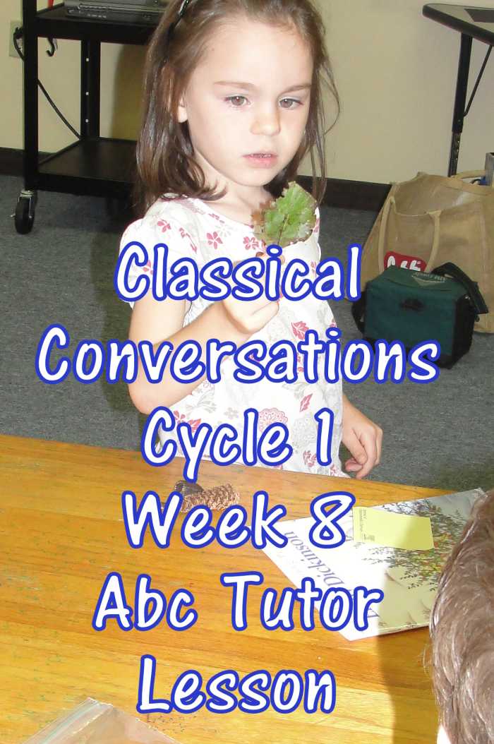 CC Cycle 1 Week 8 Plan for Abecedarian Tutors - HubPages