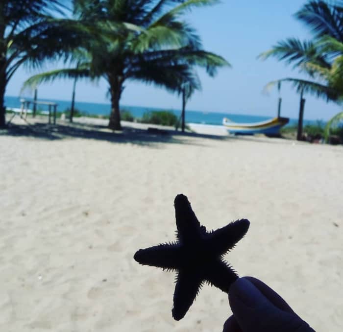 8 Amazing Things to do at Tarkarli Beach - HubPages