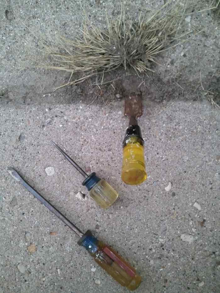 Exterminating Sidewalk Weeds - HubPages