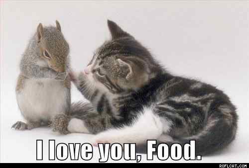 How to Make A Fake Diary (Or Just an Interesting Real One) - LetterPile