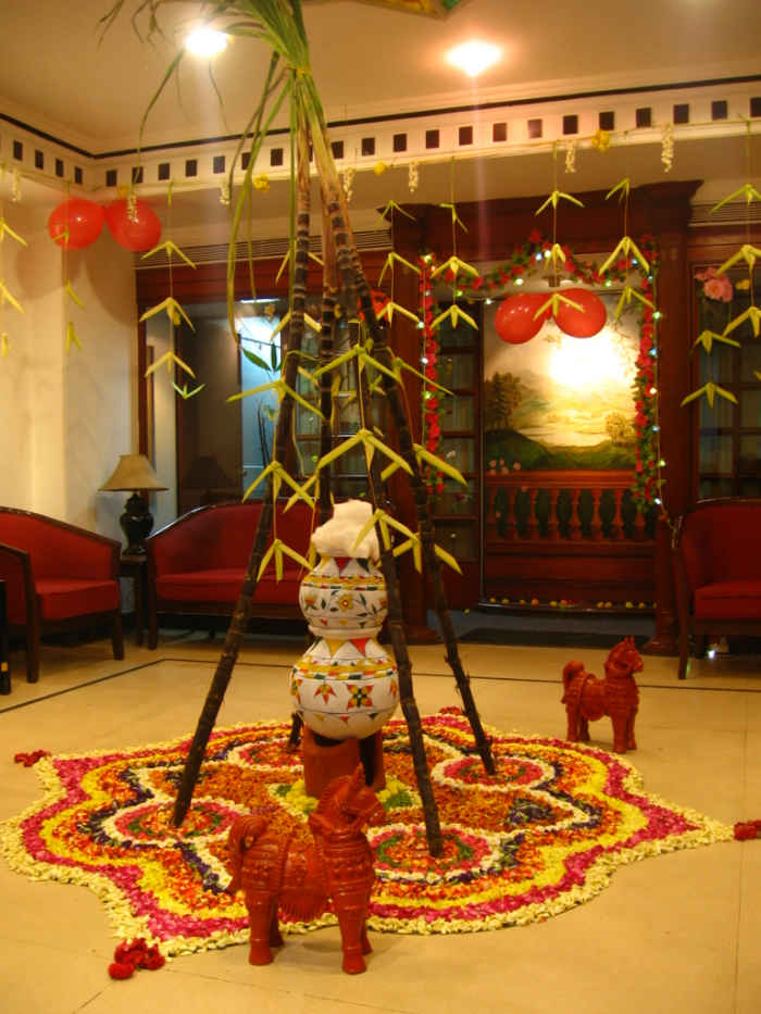 Pongal Festival - the Harvest Festival of Tamil Nadu - Festivals of ...